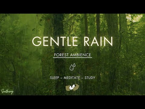 Gentle Rain On Forest Ground | NO MIDROLL ADS | Soft Rain Sounds For Sleeping