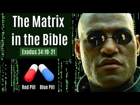 The HIDDEN TRUTH About The Matrix and the Bible
