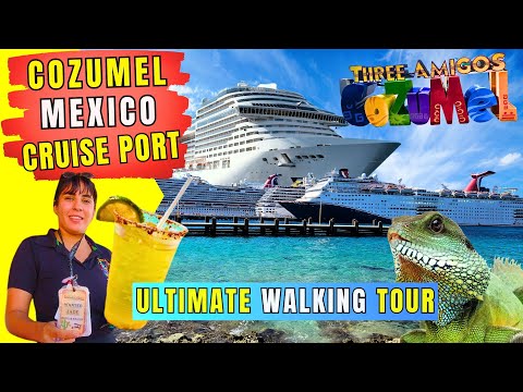ULTIMATE Cozumel Mexico Walking Tour - Everything You Need to Know About Cozumel Mexico