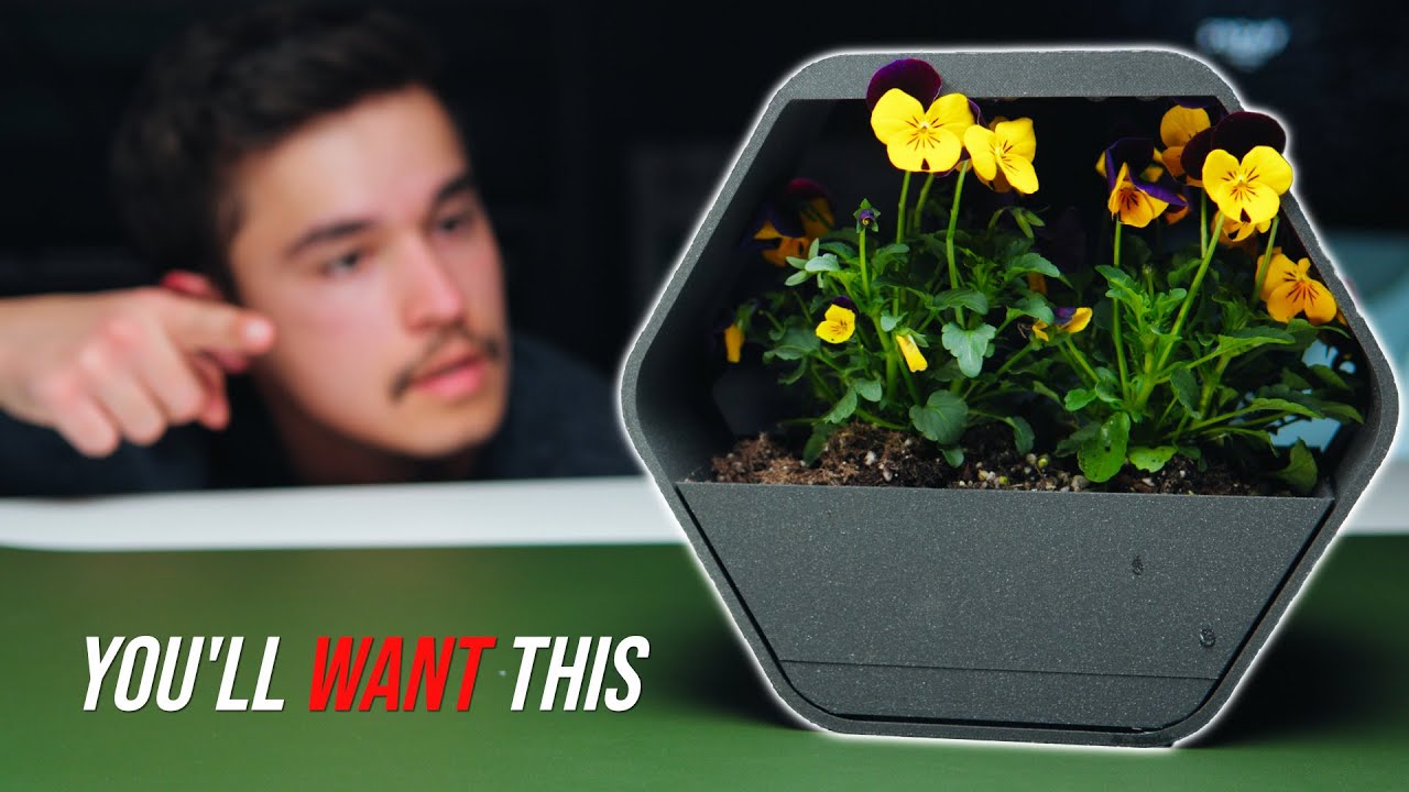 These New 3D Prints Are TOO Good to Miss