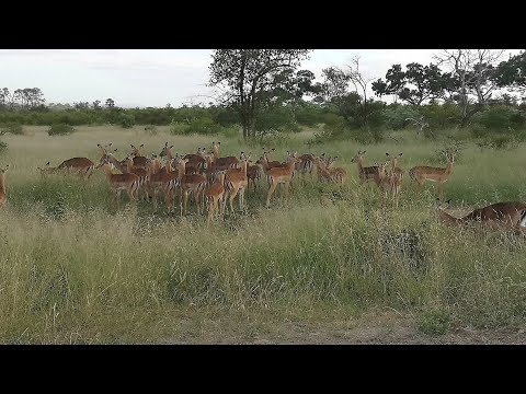 Top rated Tourist Attractions in Polokwane, South Africa | 2020