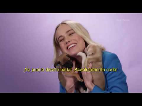 Bre Larson answers fans questions playing with Puppies (subtitulado)