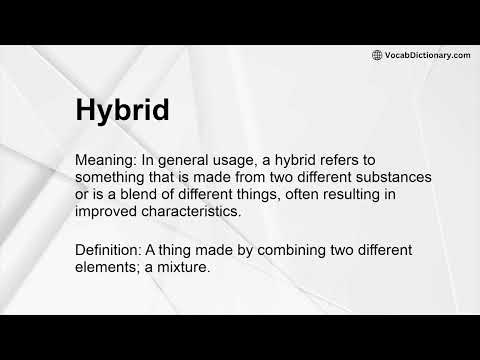Hybrid Meaning