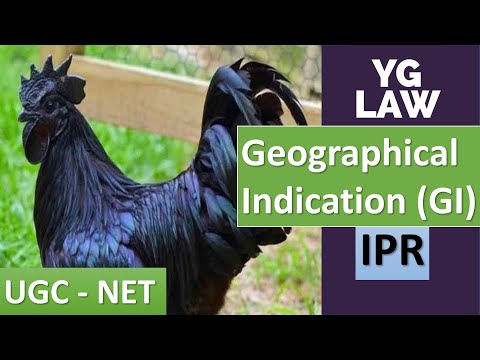 Protection of Geographical Indications - YG Law