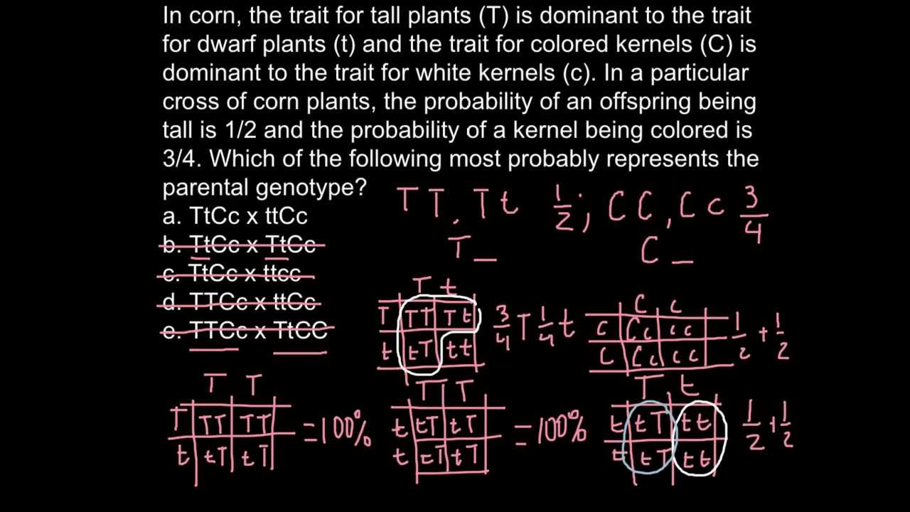 How to solve genetics problems: step by step