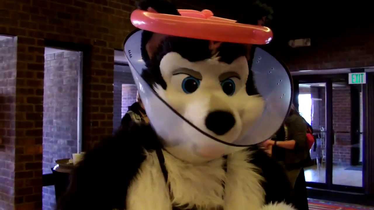 Sniffer's Cone of Shame [FurTheMore 2013]