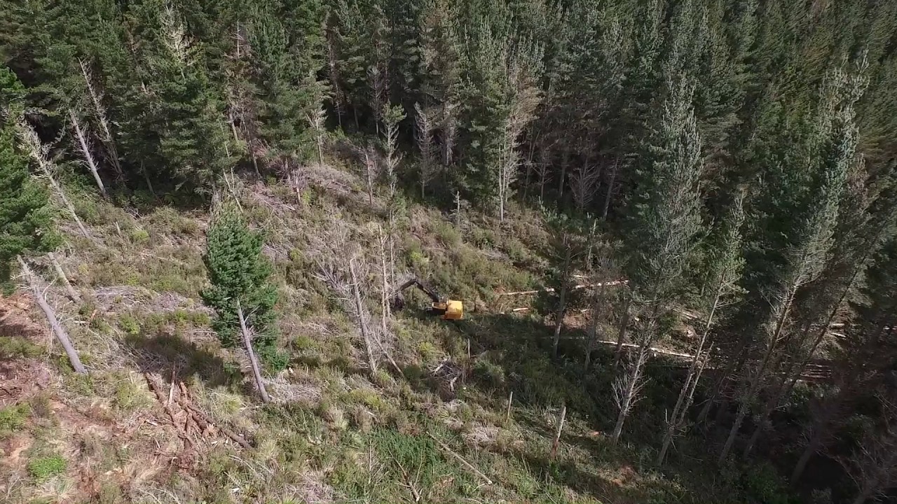 Forest Harvesting Safe Behaviour Observations Using UAV / Drones