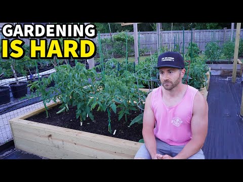 I Failed My Garden.