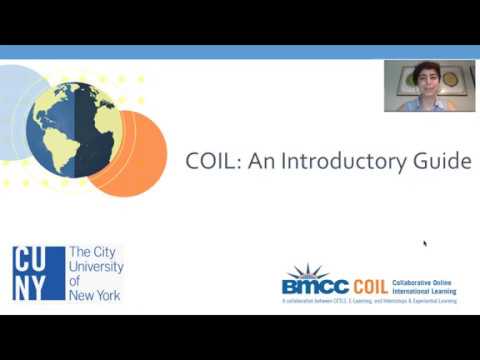 COIL: An Introductory Guide for Partners