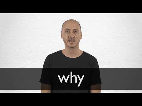 WHY definition in American English | Collins English Dictionary