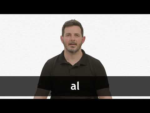 English Translation of “AL” | Collins Spanish-English Dictionary