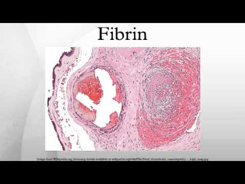Fibrin