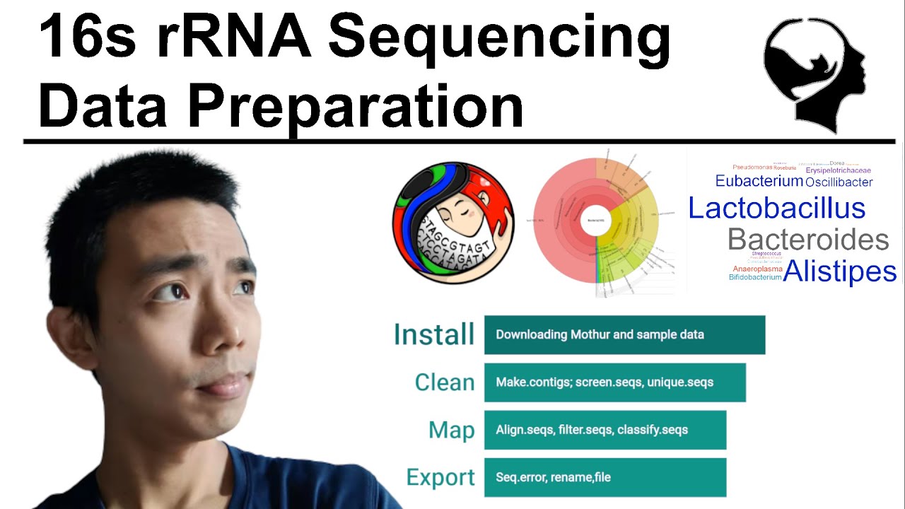 16s rRNA Sequencing Analysis | Mothur Walkthrough Part 1