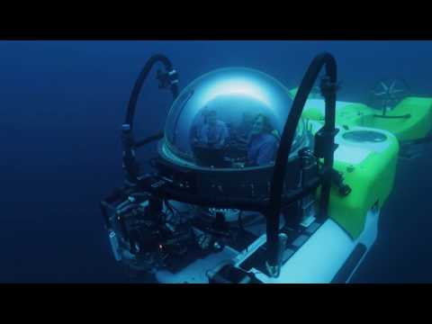 Dr. Sylvia in Submarine – Galapagos Islands Expedition – Eastern Pacific Seascape Hope Spot