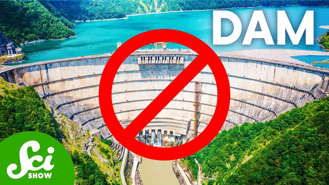 The Environmental Impact of Dams and the Case for Their Removal | Galaxy.ai