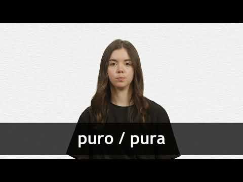 English Translation of “PURO” | Collins Spanish-English Dictionary