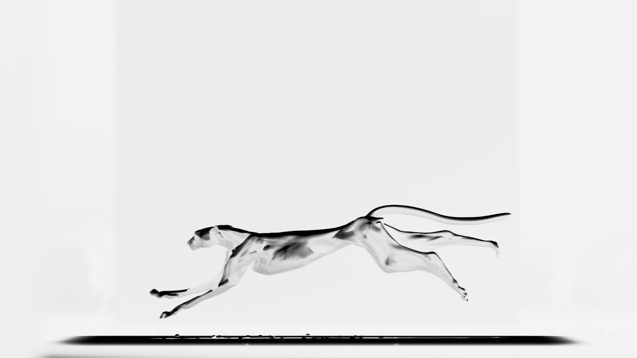 Cheetah Sculpting study