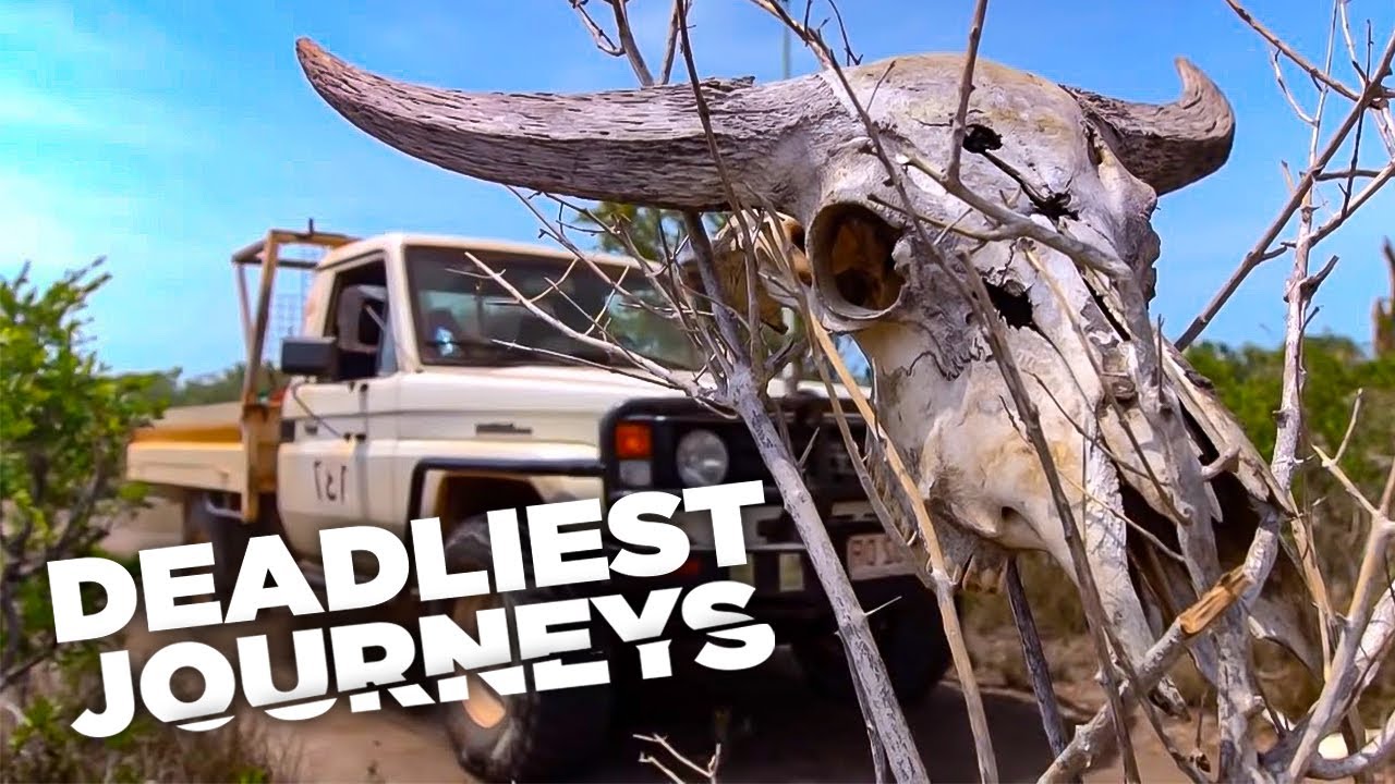 Deadliest Journeys - Australia: the roars of the Bush - Documentarytube.com