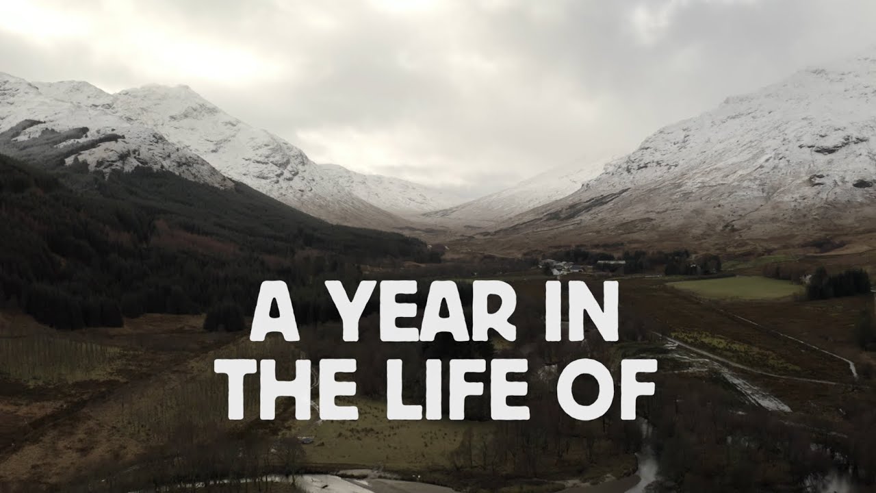 A Year in the Life of the Forth Rivers Trust