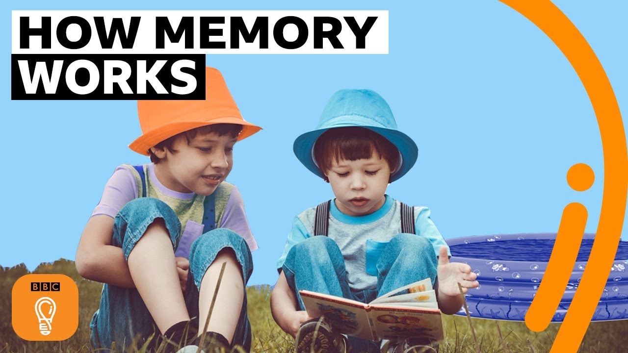 Why your first memory is probably wrong | BBC Ideas