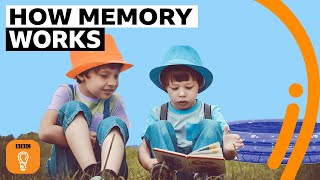 Learn English Through Video Why Your First Memory Is Probably Wrong