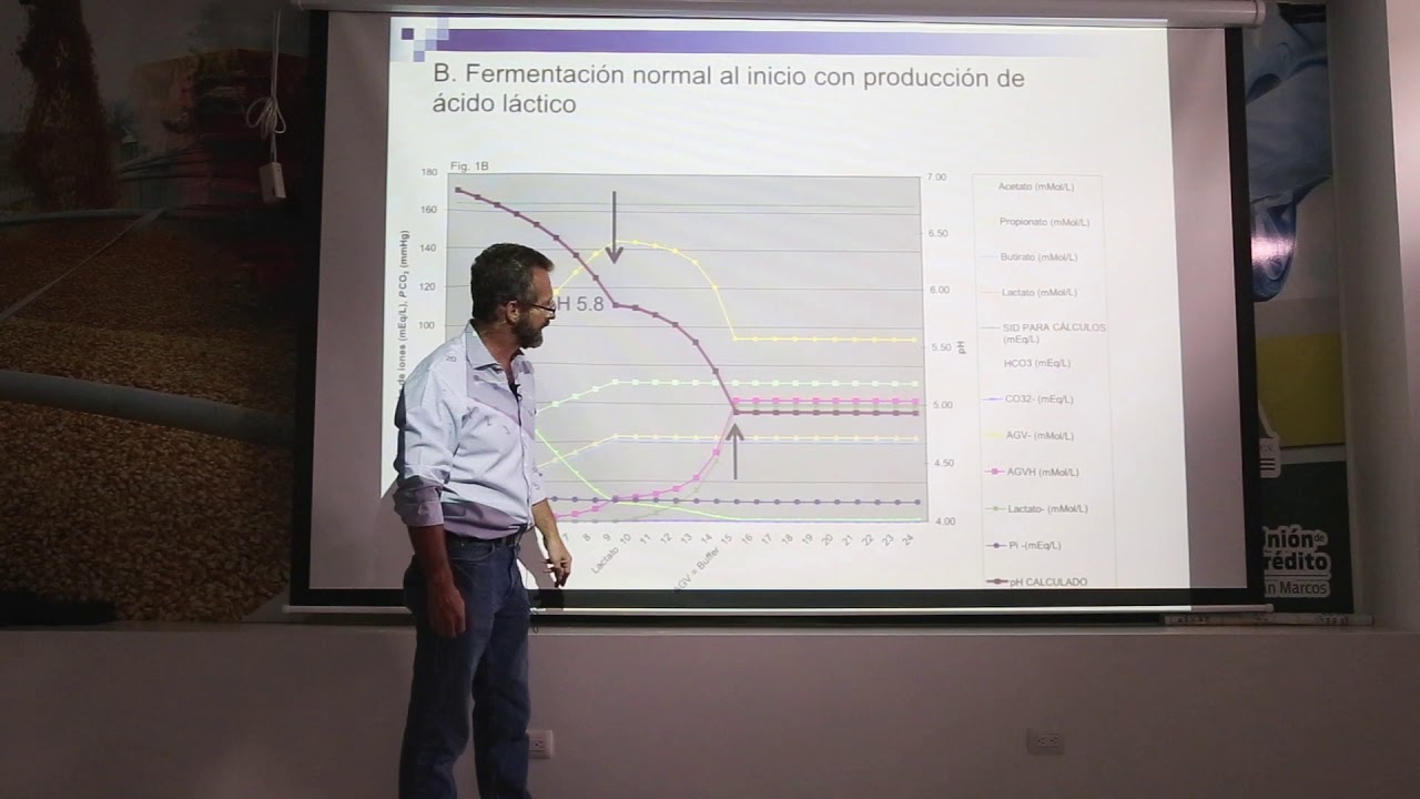 MODELO DE ACIDOSIS RUMINAL