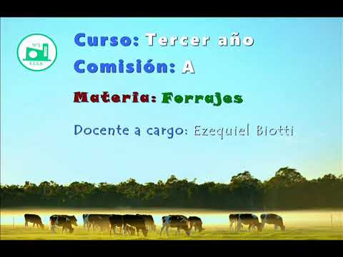 Forrajes: Gramíneas