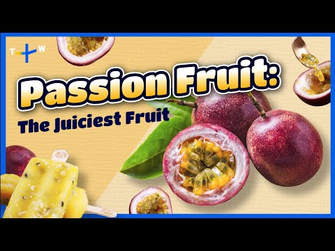 The Fascinating World of Passion Fruit: Varieties and Flavors Explored|Jason's Table: Fruit Lab