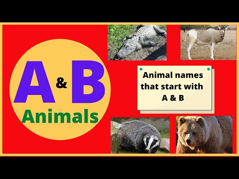 Animals names that start with A & B | A & B Animals with pictures|