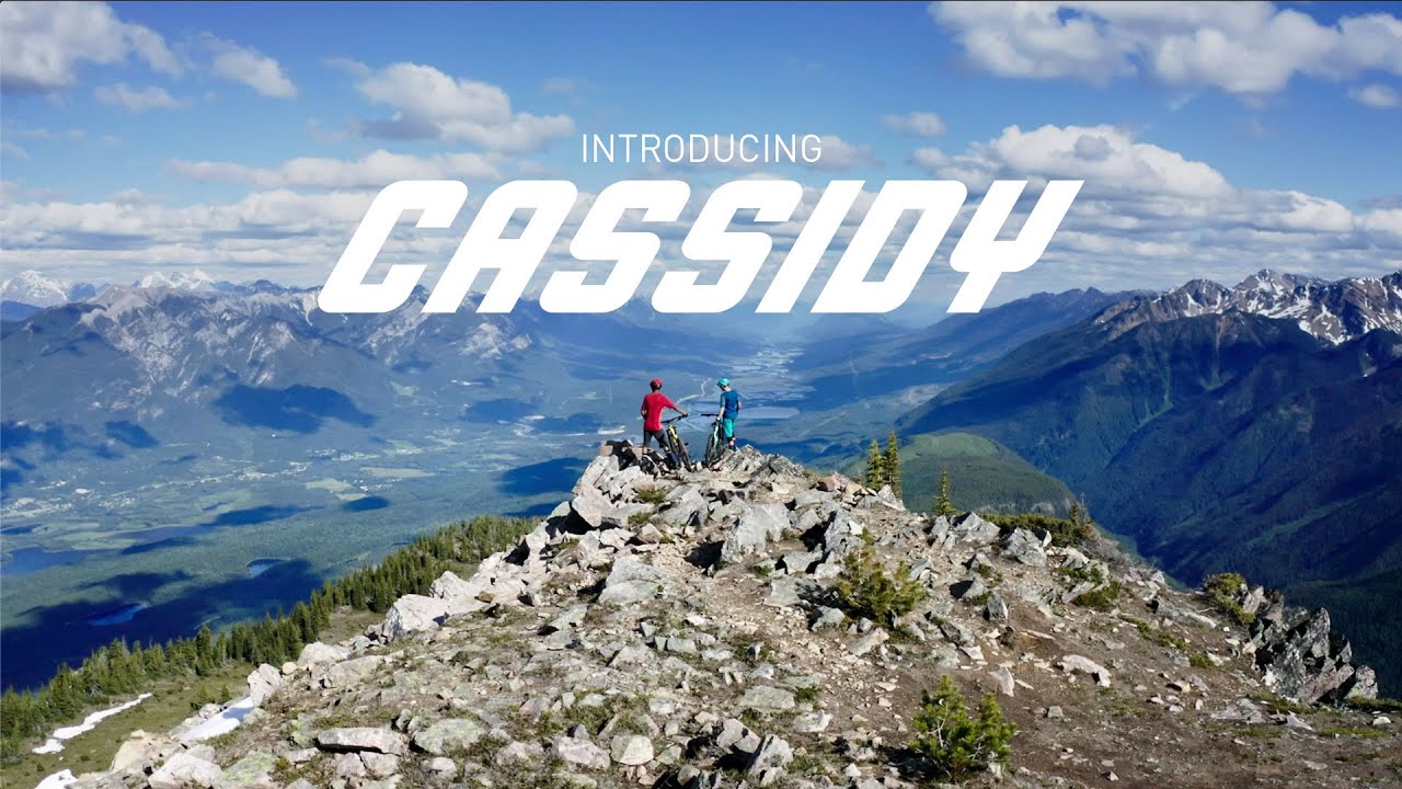 Introducing Cassidy