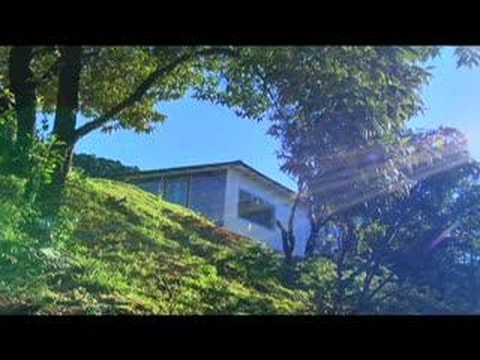 Dantica Lodge & Gallery
