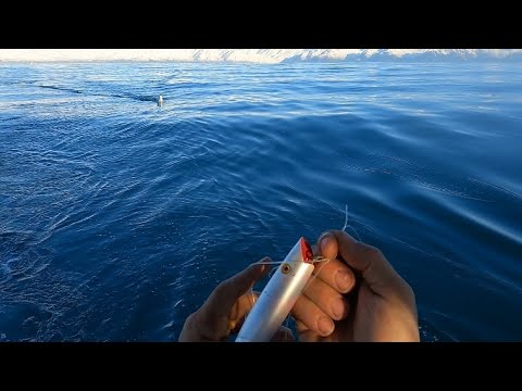 CHINOOK PATTERNS AND PROFESSIONAL TOMIC PLUG RIGGING #trolling #alaska