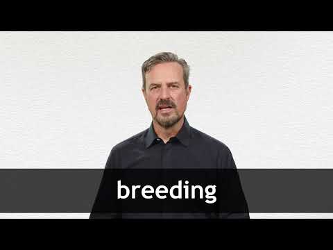 BREEDING definition in American English | Collins English Dictionary