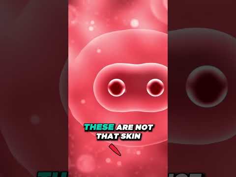 9 Best Facts About Plantar Warts vs Skin Tags - Balance Foot