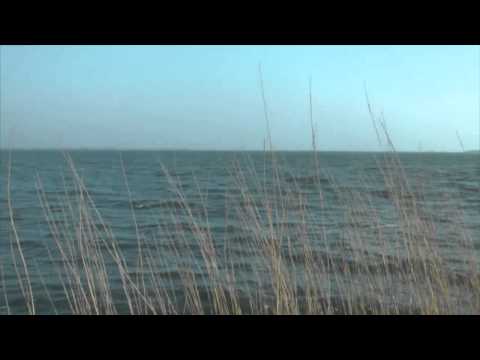 Mindfulness Introductievideo Vereniging Anoiksis