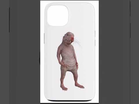 Naked mole rat #peabody #funny