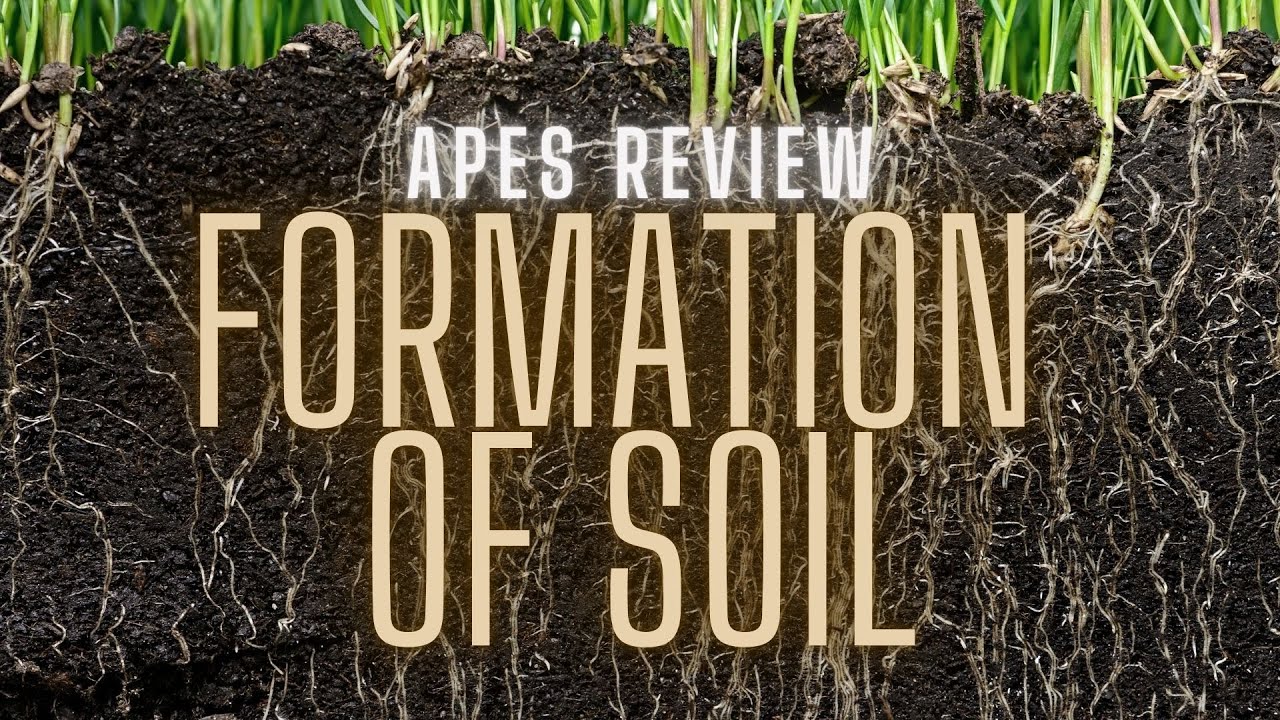 Formation Of Soil