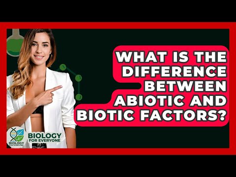 What Is The Difference Between Abiotic And Biotic Factors? - Biology For Everyone