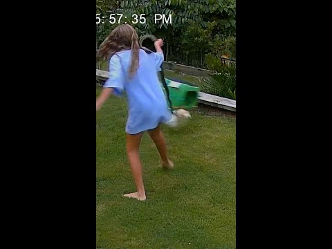 Australian girl swings snake by tail to rescue guinea pig