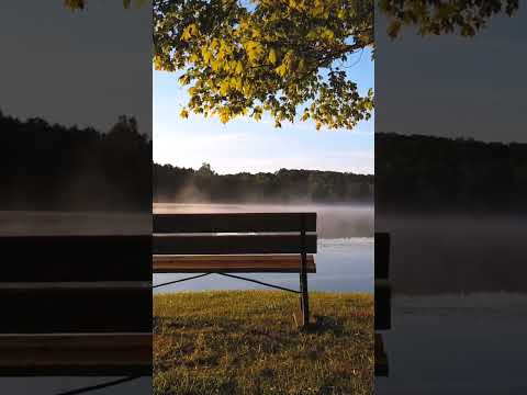 nature short video download #nature #prem #sounds β₯οΈβ₯οΈπ
