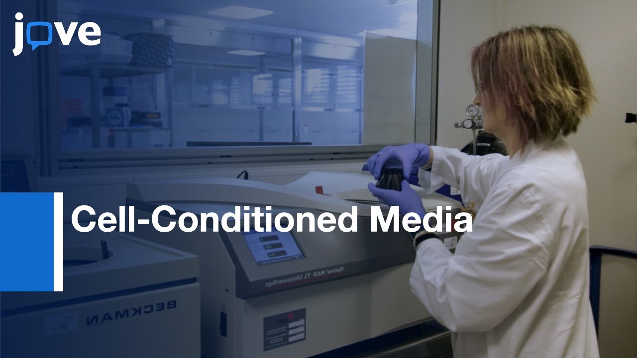 Flow Cytometric Analysis Of Extracellular Vesicles From Cell-Conditioned Media l Protocol Preview