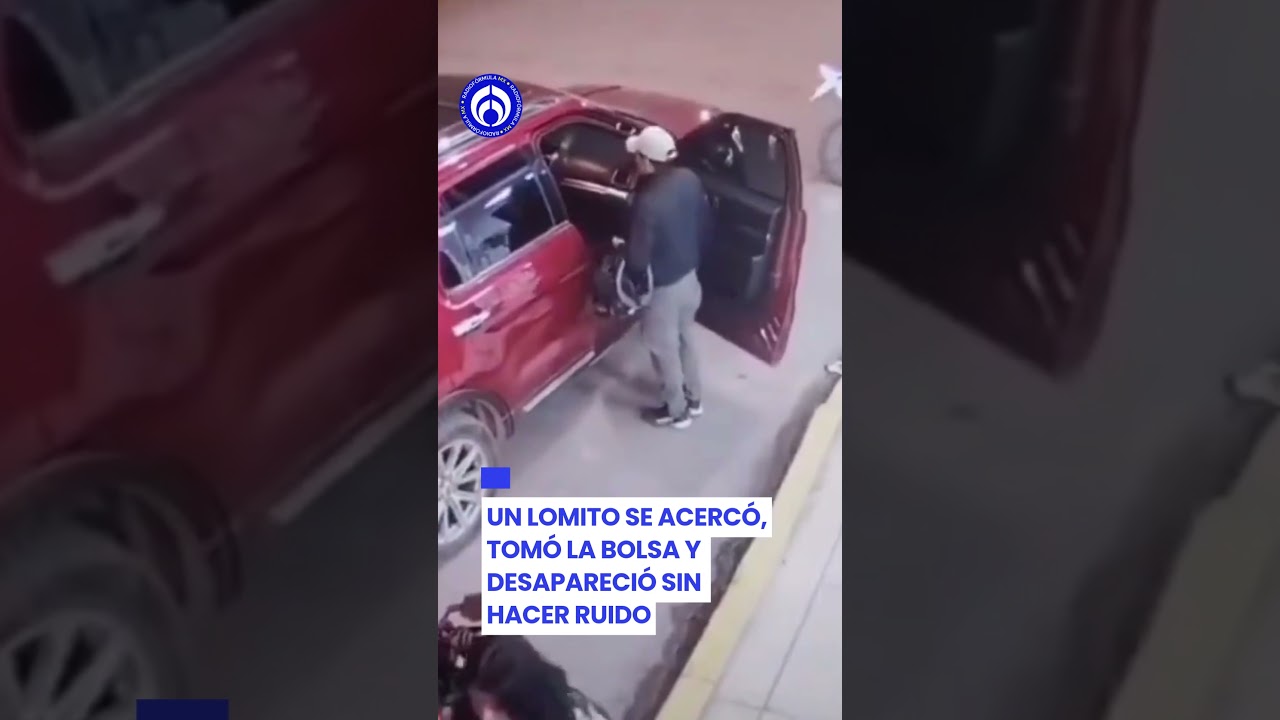 El robo perfecto: Perrito desfalca a hombre distraído