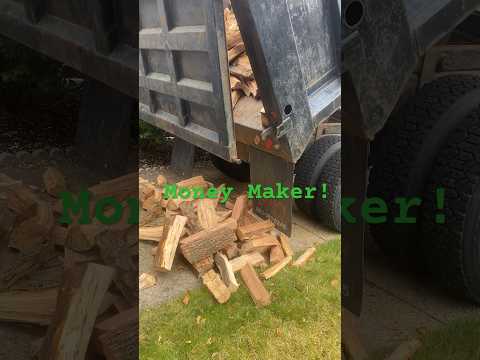 This Side Hustle Makes MONEY! Here’s the Numbers. #businessideas #firewood #motivation #dumptruck