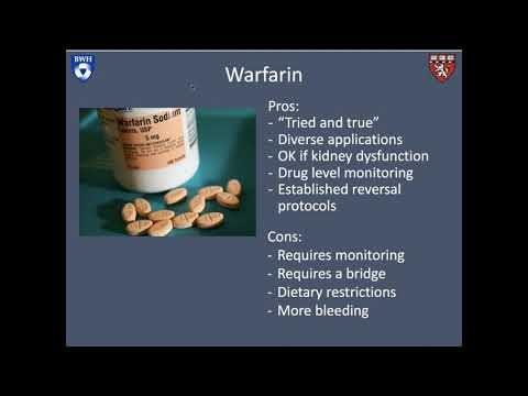 Update on Venous Thromboembolism (VTE) Prevention and Treatments