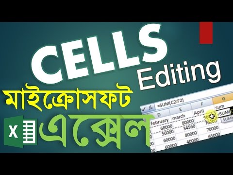 Editing cells in MS Excel Bangla Video Lecture - Learn MS Excel 2007 from Beginner to Advanced ...