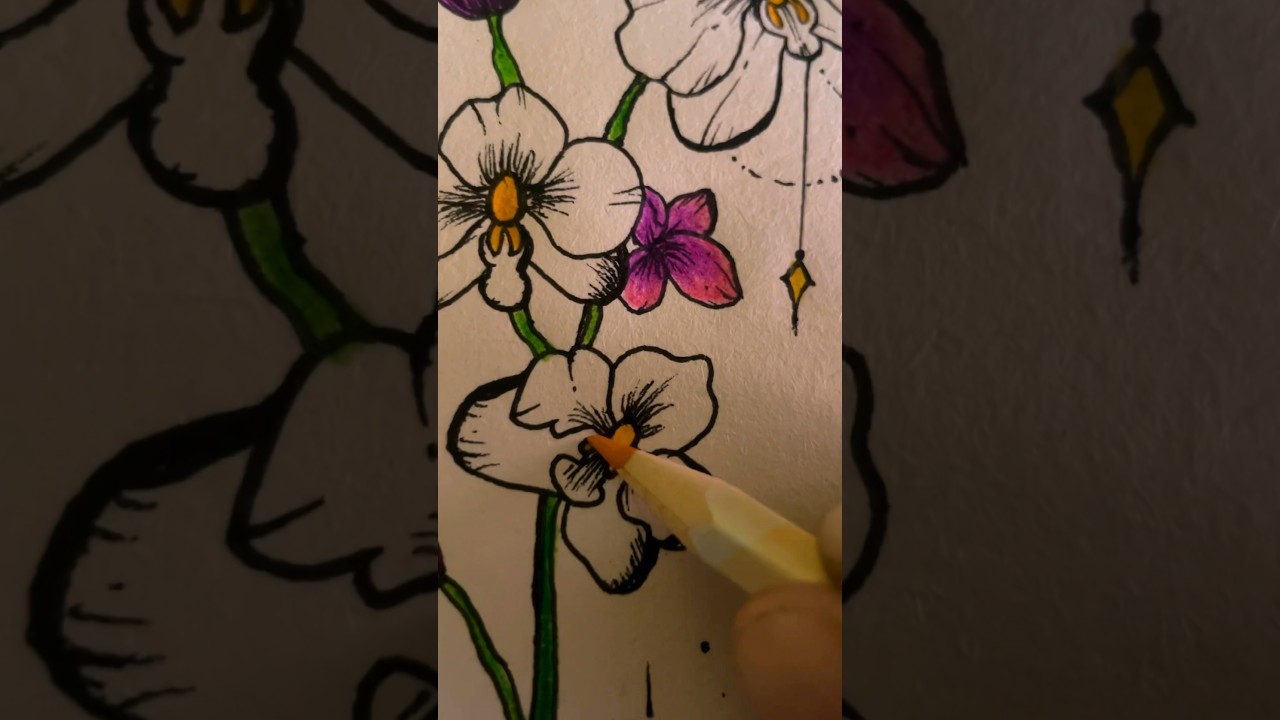 Cara Mewarnai Bunga Anggrek Bulan Super Cantik dan elegan