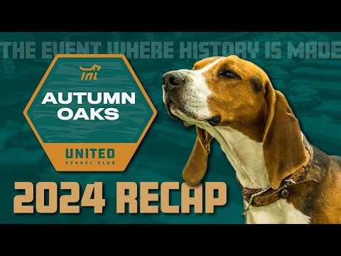 Reflecting on Exciting Highlights of Autumn Oaks 2024