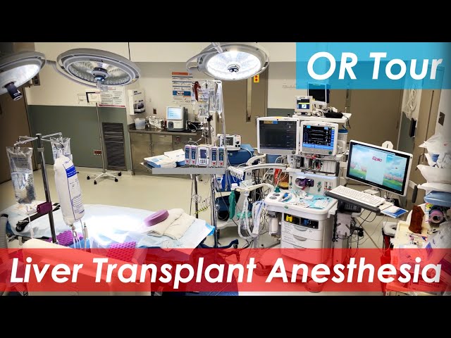 Surgical Suture - Lotus Solus Suture Manufacturer from Surat