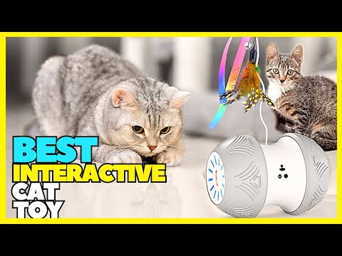 Top 5 Best Interactive Cat Toy On 2023 Laser And Robotic Cat Toy