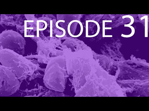 Episode 31 - Archaea & Bacteria